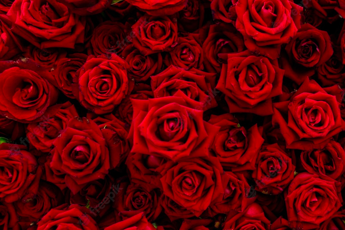 Qual è il significato del colore rosso?